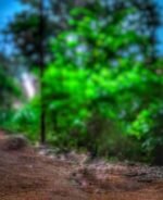 1000+ Free CB Background HD Picture & 4K Photo Editing Images