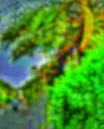 1000+ Free CB Background HD Picture & 4K Photo Editing Images