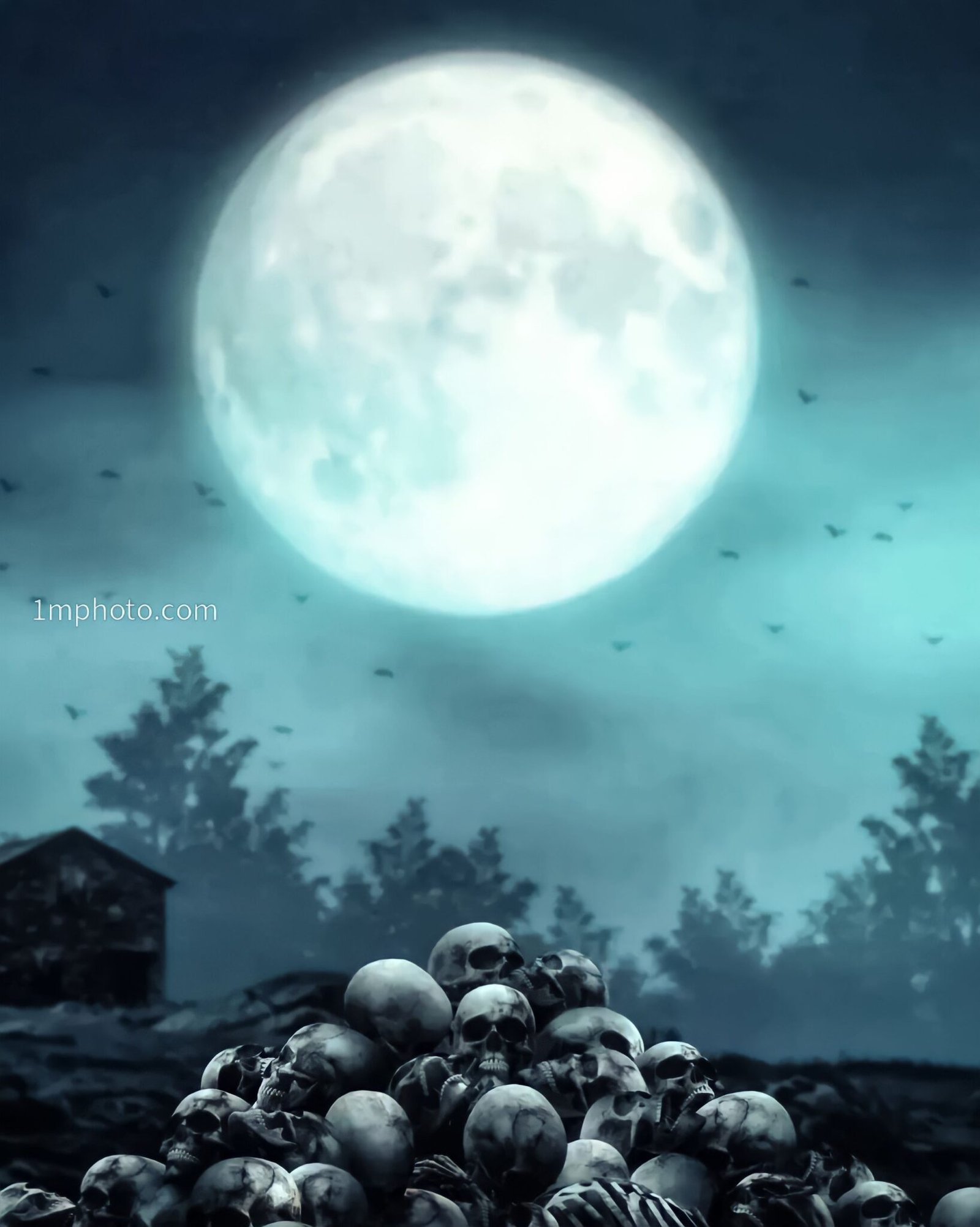 2500+Photo Editing Background 4k Free Images