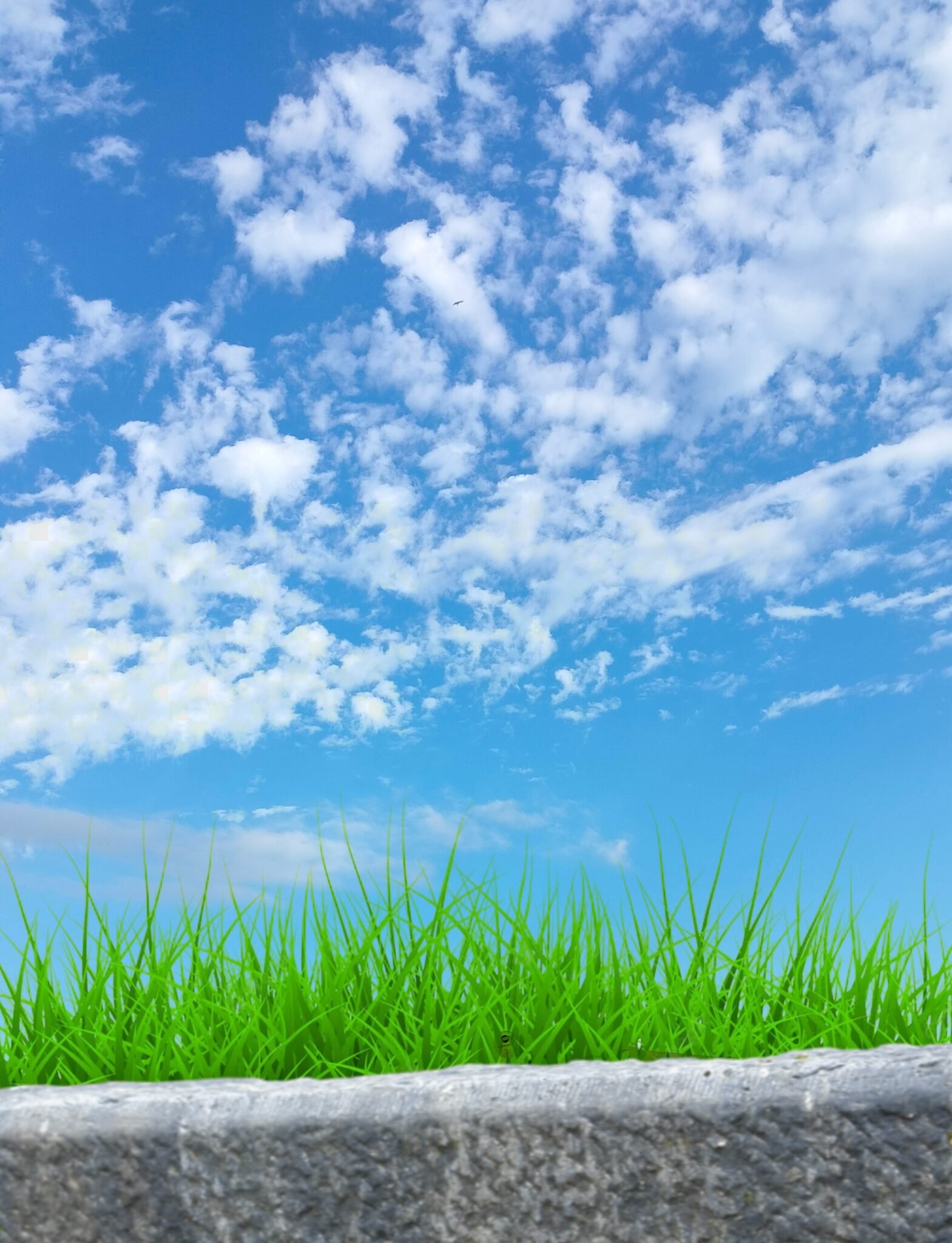 2500+Photo Editing Background 4k Free Images