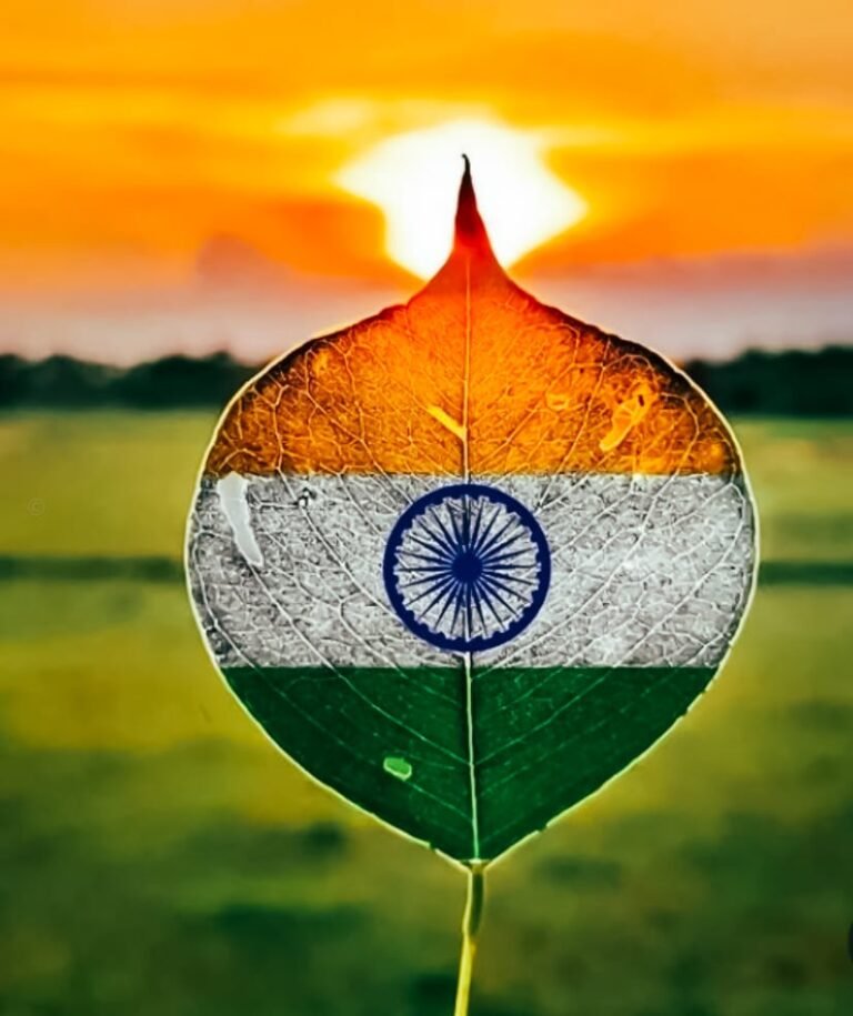 [500+] indian Flag images For Whatsapp Profile Download
