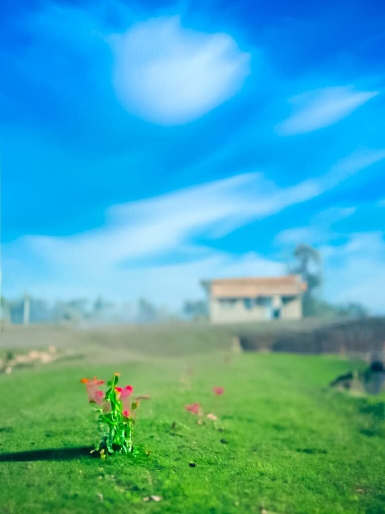 350+ Full HD Photo Editing Background & Pictures