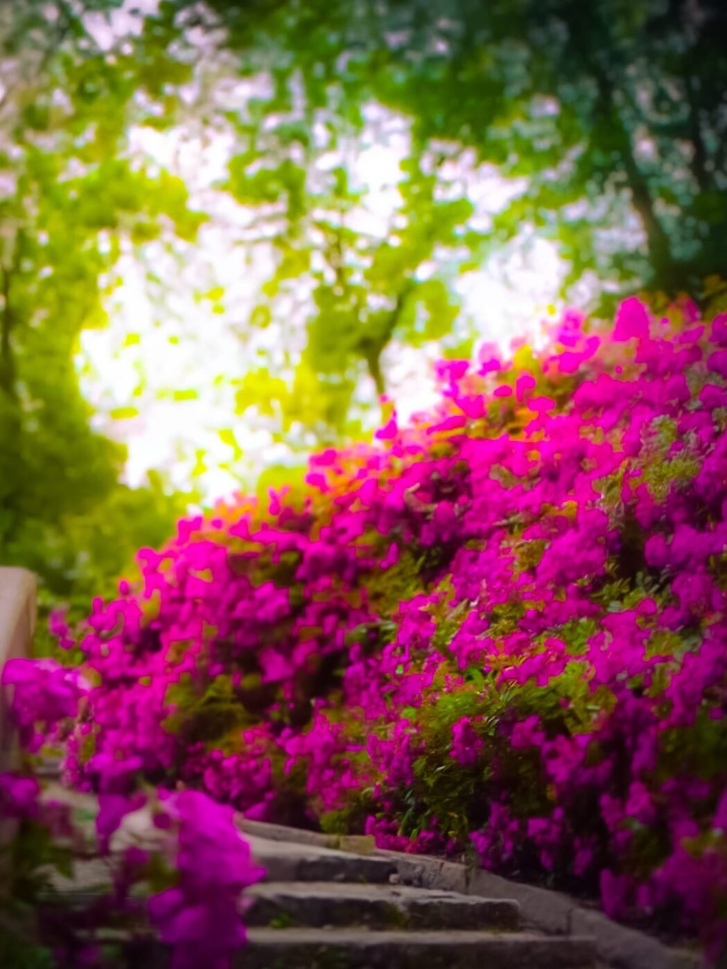 507+ Picsart photo editing Background & 4k Pictures